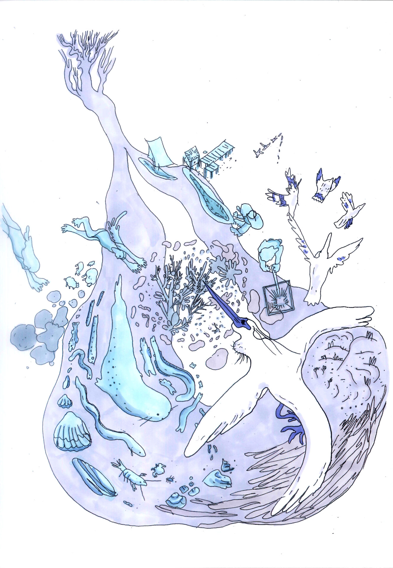 Almanach d'Olina. Habiter les paysages - Clémence Mathieu - Chantiers ...